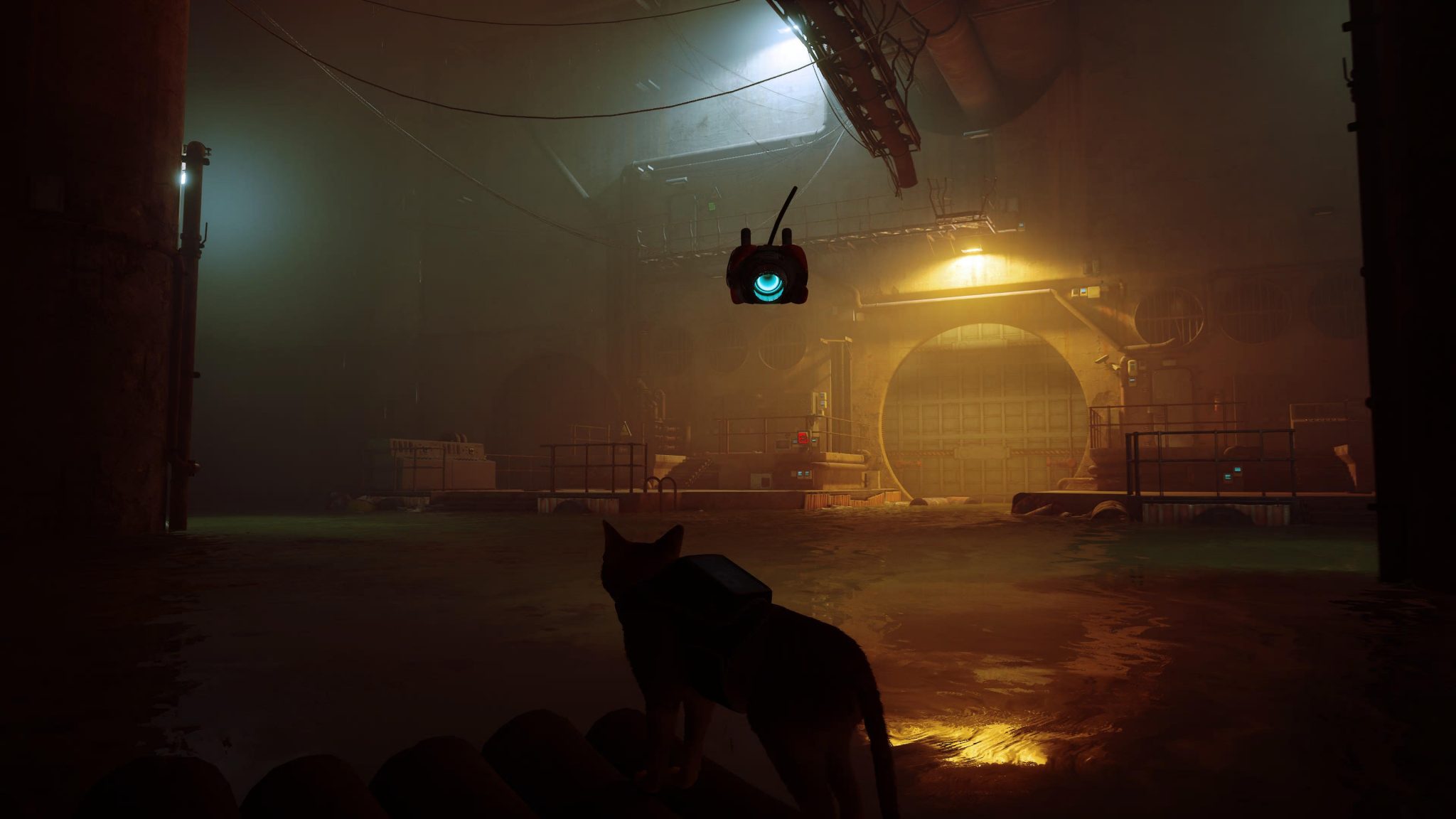 Stray Game Pass: llegará al servicio? - NextGame.es